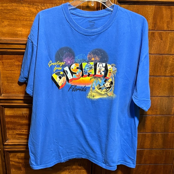 Disney | Tops | Disney Blue Florida Graphic Tee | Poshmark